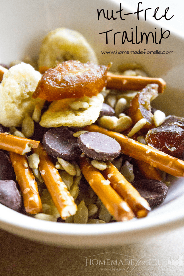 Cómo Hacer Tuerca Libre Trail Mix ⋆ Caseros para Elle | be settled