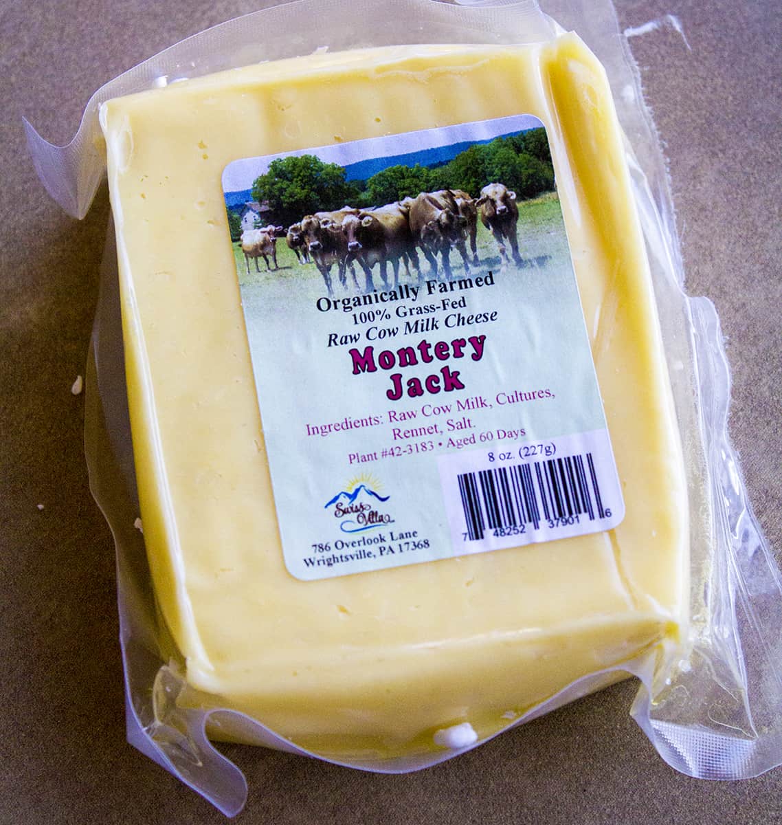 monterey jack cheese